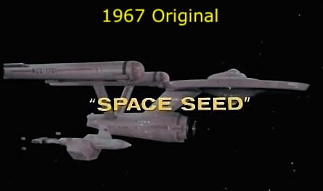 The Fantastic Plastic S.S. Botany Bay